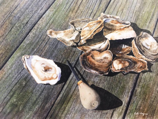 Bob Haynes - Half Shell – Bay School Community Arts Center